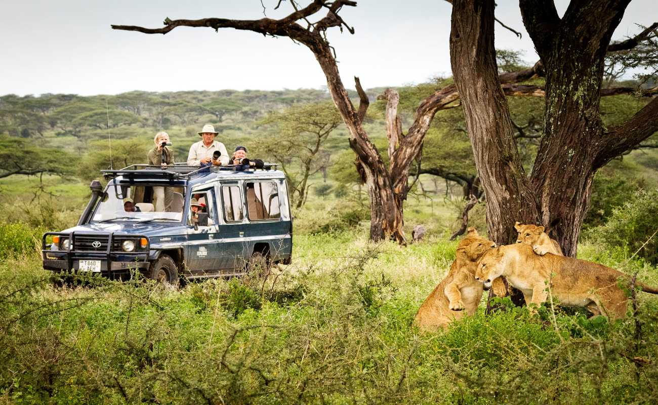 Big Cat Safari: Kenya & Tanzania: 12 Nights / 13 Days