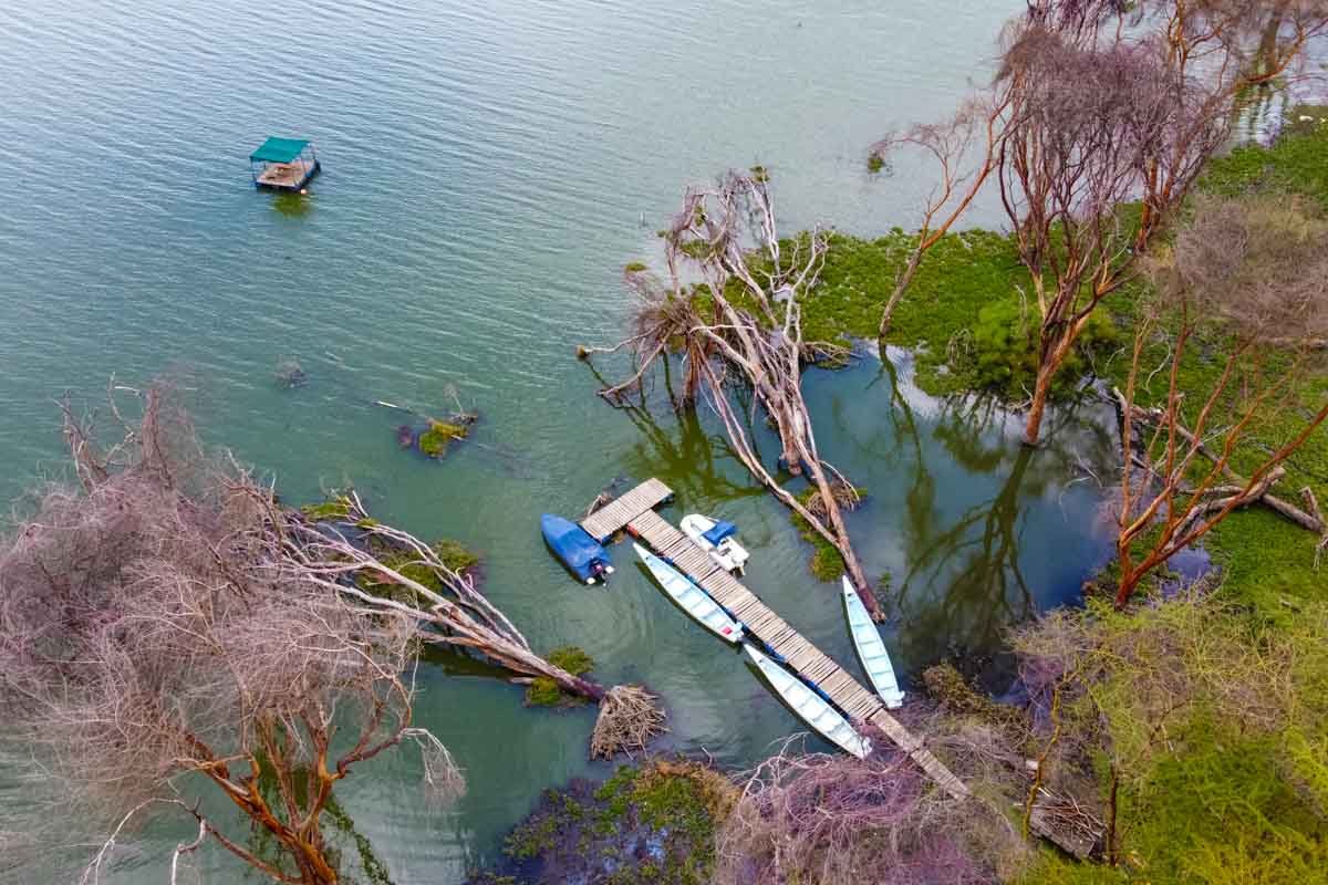 Home - Priority Wild Safaris